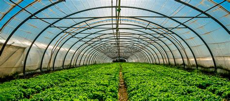 Los Invernaderos Las Variables Que Miden Y Soluciones Para Su Monitoreo
