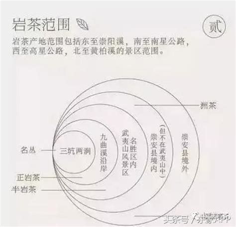 八張圖，讓你立馬看懂武夷岩茶！ 每日頭條