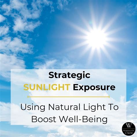Strategic Sunlight Exposure Using Natural Light To Boost Well Being