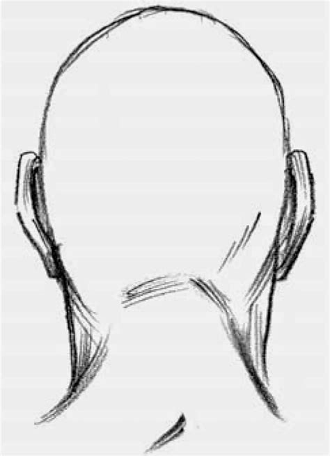 Drawings Parts Of The Head Drawing Poses Drawing Heads Human