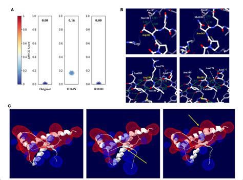 Figure E In Silico Evaluation Of Impact According To Amino Acid Download Scientific Diagram