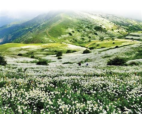 سرعین،گردنه حیران،پل معلق هیر،اردبیل 12 تا 15 خرداد یوتوپین