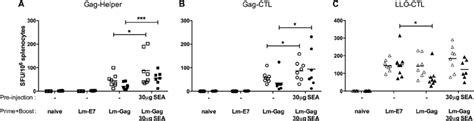 SEA Improves Longevity Of Vaccine Specific Th1 And CTL Responses