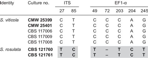 Sequence Differences Of The Its And Ef1 α Gene Regions To Show The Sequence Differences Of The Its And Ef1 α Gene Regions To Show The