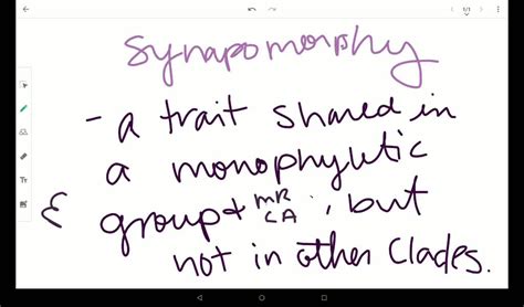 Solved What Is The Difference Between An Autapomorphy And A Synapomorphy