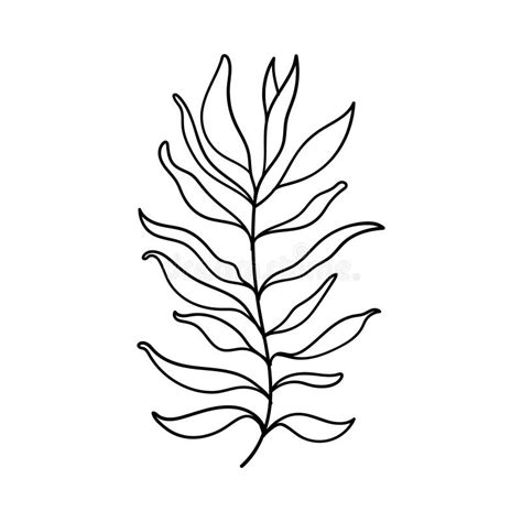 Minimal Leaf Line Drawing Elegant Black And White Illustration Of A Single Leaf Stem Drawn In A