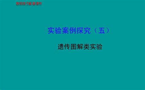 实验案例探究 五 遗传图解类实验 共24张ppt Word文档在线阅读与下载 免费文档
