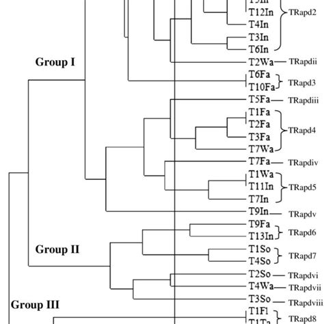 Dendrogram Showing The Genetic Relatedness Of S Typhimurium Isolated