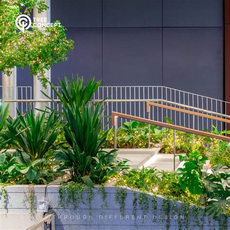 Tree Concept Tree Concept Added A New Photo