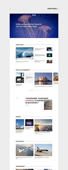 打开新的标签页 花瓣网