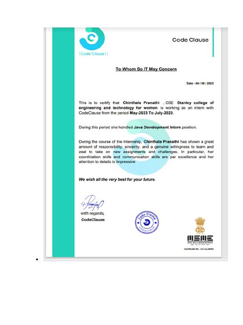 Internship Report Pdf Usability Software Testing