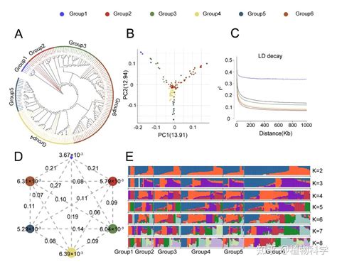 浙江省农业科学院在杨梅t2t基因组及果实品质性状的全基因组关联分析上取得进展 知乎