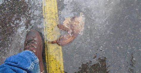 Slipperiest Thing On Earth Album On Imgur