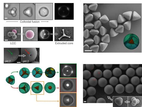 3d Printing To Be Revolutionized By Colloidal Self Assembly Additive