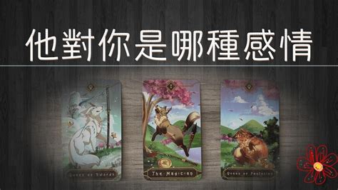 他對你是哪種感情？他對你們的關係貼了什麼樣的“tag”？曖昧愛情戀愛塔羅占卜 Youtube