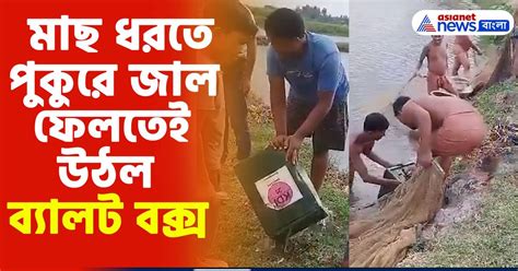 Ballot Box পঞ্চায়েত ভোটের প্রায় এক মাস পর মাছ ধরতে পুকুরে জাল