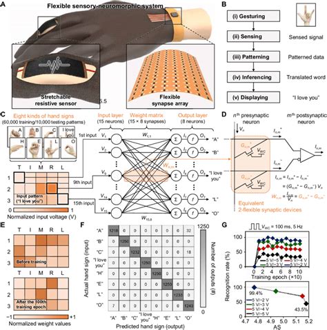 Sensory Neuromorphic Systems For Sign Language Translation A
