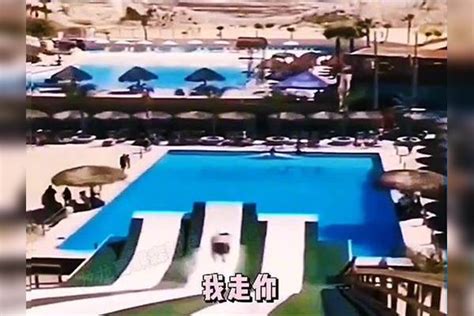 大胖子跳水不愧是灵活的胖子 胖子跳水
