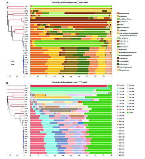 The Results Of Hierarchical Cluster Analysis HCA Of Bamboo Leaf And