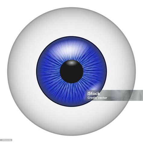 眼睛視覺圖示 逼真的風格向量圖形及更多人圖片 人 人工造的 人體構造 Istock