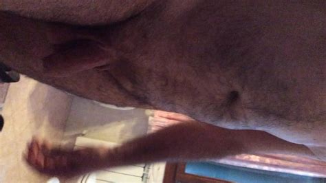 Pioggia Dorata Amaporn