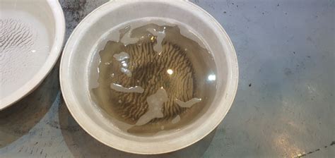 자동차 에바크리닝 에어컨냄새 완벽히 없애는 청소 방법 네이버 블로그