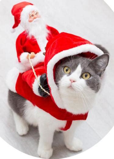 Weihnachtskostüm für Hunde und Katzen mit Weihnachtsmann 123tierbedarf de