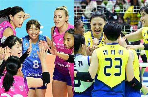 1위 싸움 불붙었다 흥국생명·현대건설 나란히 연승 중 노컷뉴스