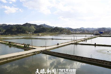 黄平县永康村：温泉水穿村而过 淡水养鱼能致富养殖户熊家国土地