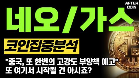 네오가스 코인 중국 또 한번의 고강도 부양책 예고 또 여기서 시작될 건 아시죠 네오코인전망 네오코인분석 가스