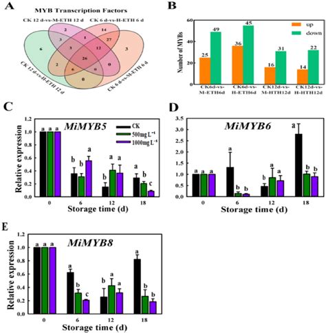 Figure 3 From The Transcription Factor Mimyb8 Suppresses Peel
