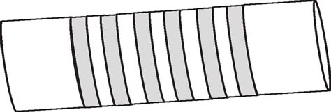 Geometry Of The Circular Waveguide With 12 Discontinuities Download Scientific Diagram