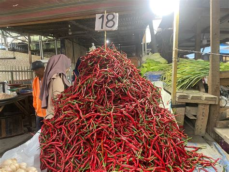 Harga Cabai Merah Anjlok Sentuh Rp Ribu Bawang Merah Meroket
