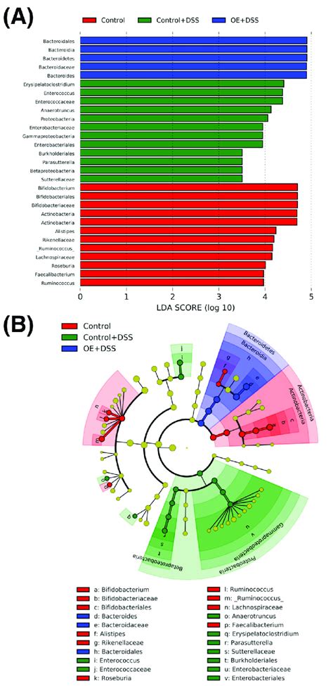Comparisons Of Fecal Microbiota Using The Linear Discriminant Analysis