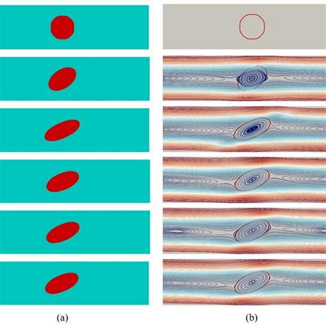 A Typical Evolution Of Deformation For An Initially Circular 2d Droplet
