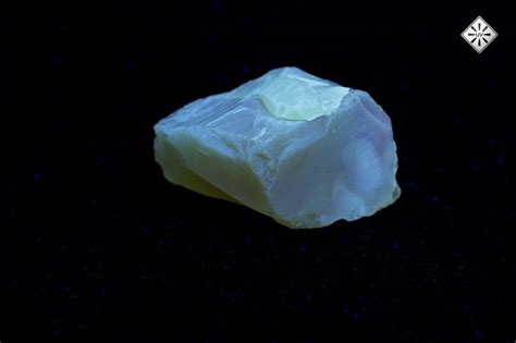 Ambre Baltique Sous Uv Darrafr Ambrepro