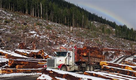 The Forestry And Logging Pictures Thread Page Outdoor Power Equipment Forum