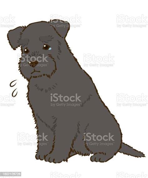 슬픈 슈나우저 개에 대한 스톡 벡터 아트 및 기타 이미지 개 개과 개띠 Istock
