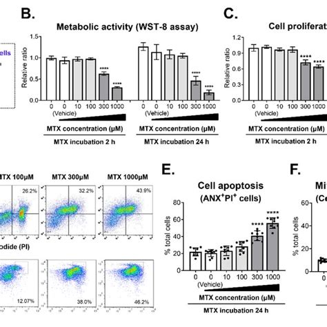 Toxic Effects Of Methotrexate On Human Corneal Epithelial Cells A