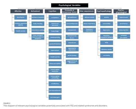 Dr Hannah Bashforth On Linkedin The Complexity And Nuance In Assessing