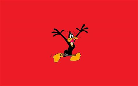 Daffy Duck Wallpapers Wallpaper Cave