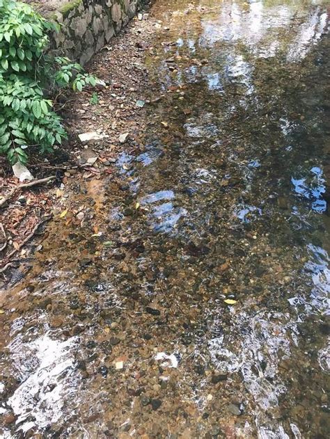國慶假期住民宿——深圳都市人假日休閒安靜好去處 每日頭條