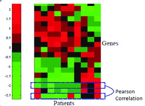 Gene Expression Figure 3 Overall Patient Mutation Network Download
