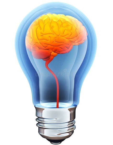 Light Bulb Brain Stock Illustrations 33 611 Light Bulb Brain Stock
