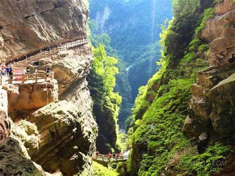 重庆10个5a景区重庆5a景区8个大山谷图库