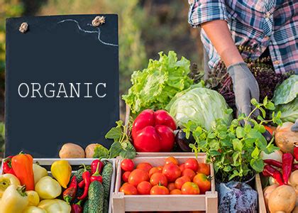 Choosing Organic When To Buy It And When To Skip It Joe Cross