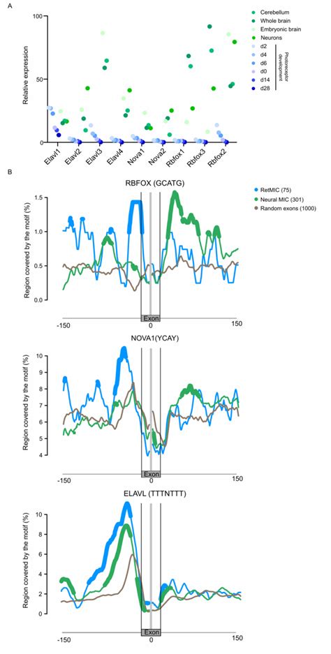 Fig S8 A Expression Levels Crpkms For Elavl Nova And Rbfox