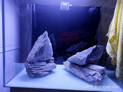 新手记录一个45海缸开缸 知乎