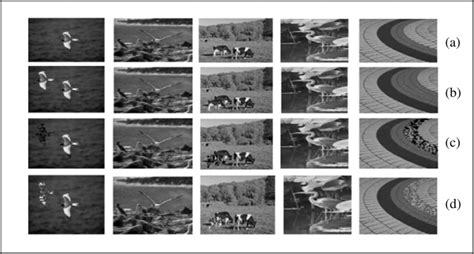 Copy And Move Tampering And Recovery A Original Images B Tampered