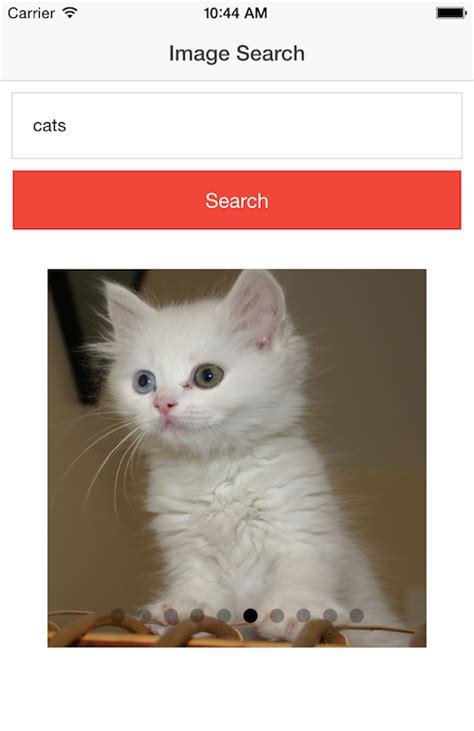Ionic Example Slides